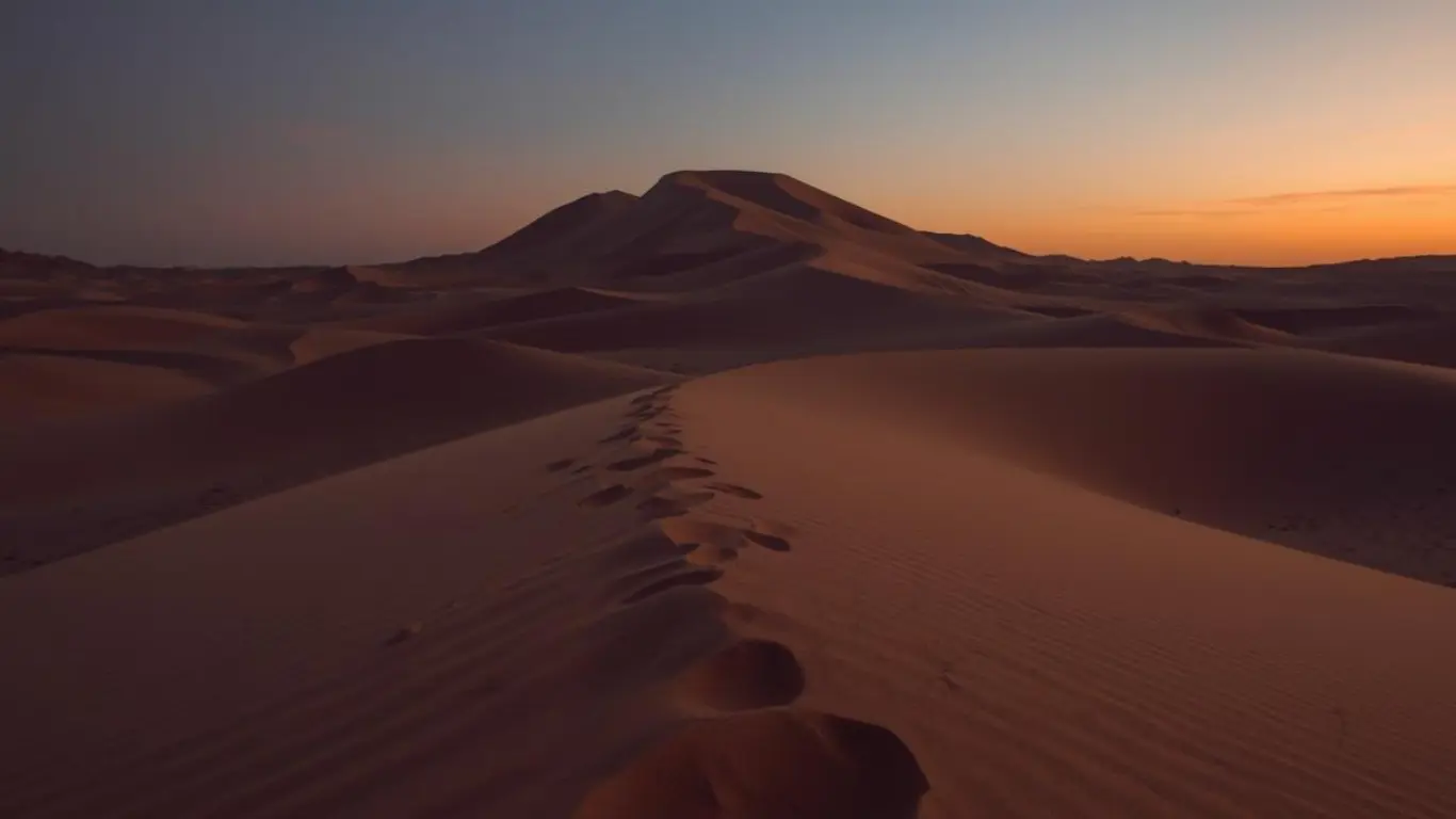 What Does Contingent Mean? Simple Definition, Examples & Usage (2026)